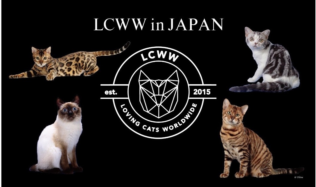 LCWW について – LCWW JAPAN
